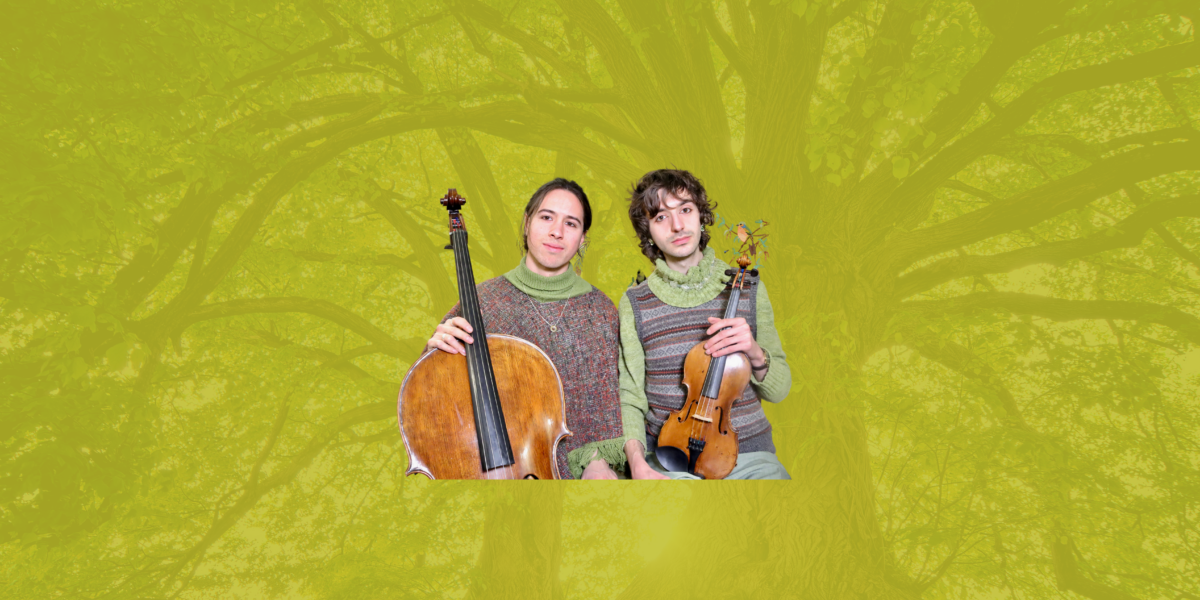 The Celtic Tree, with Casi Wyn - Sinfonia Cymru
